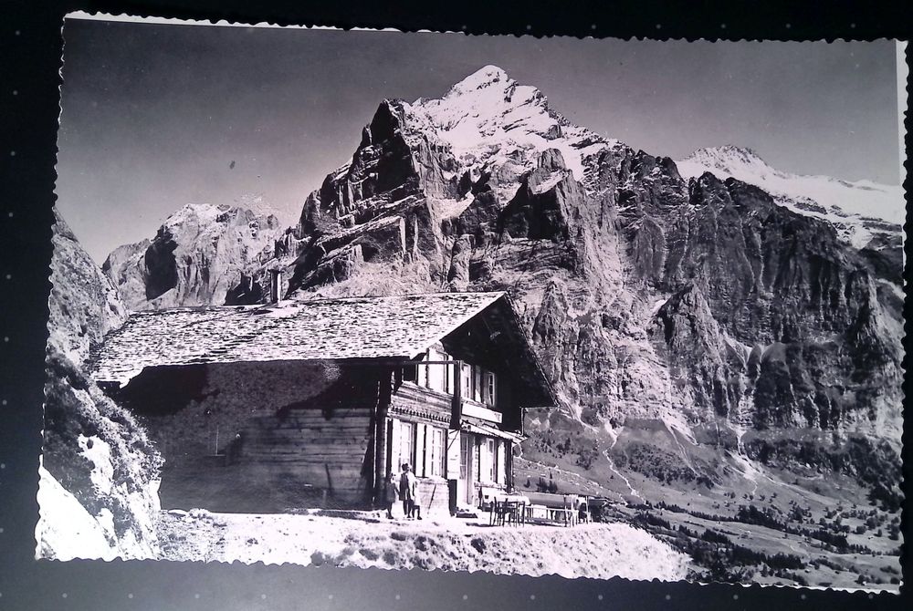 Hotel Alpenrose Waldspitz Grindelwald Ungel. ca 1930 (Gebraucht) in ...