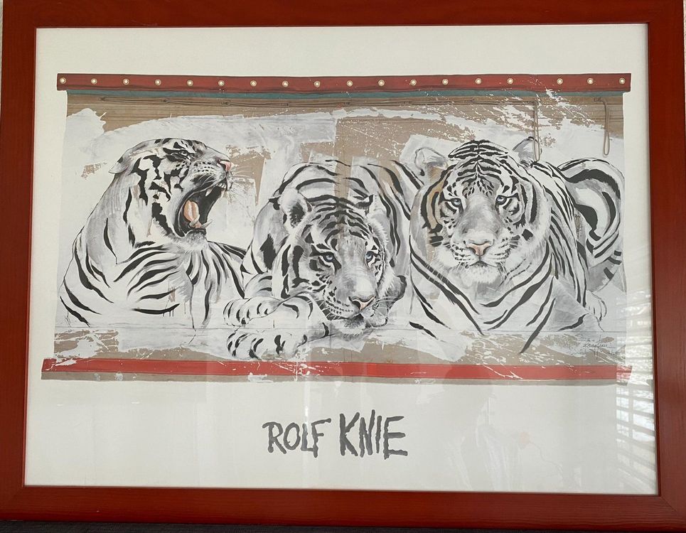 Knie Bild mit drei sitzenden Tigern | Kaufen auf Ricardo