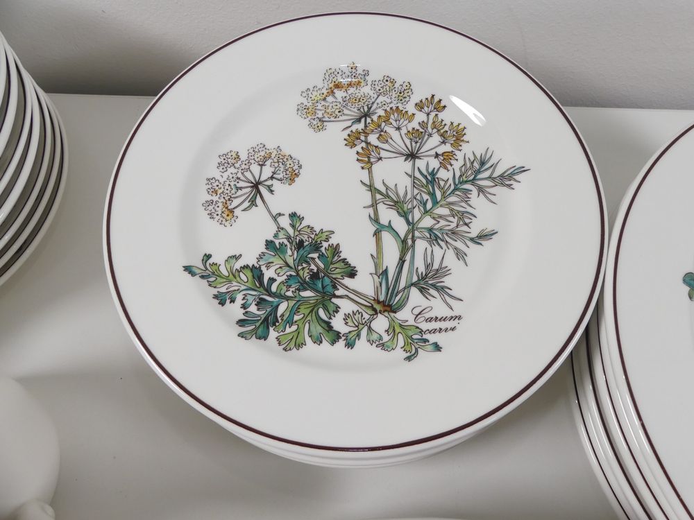 Botanica Geschirr Von Villeroy Und Boch