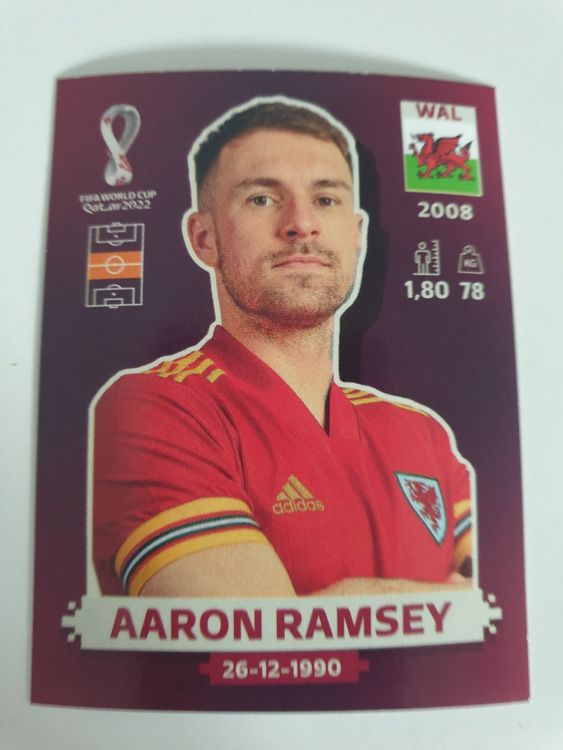 Panini WM 2022 WAL 14 | Kaufen auf Ricardo