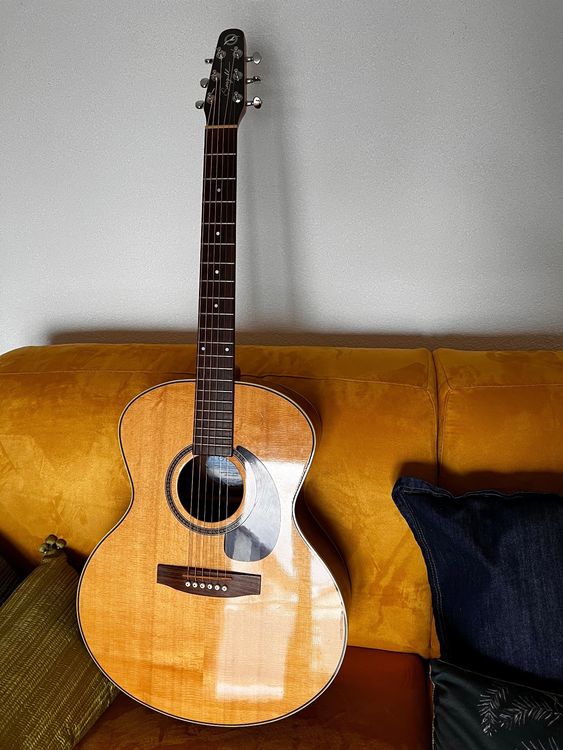 Seagull s6 mini jumbo (Gebraucht) in für CHF 100 – nur Abholung auf ...