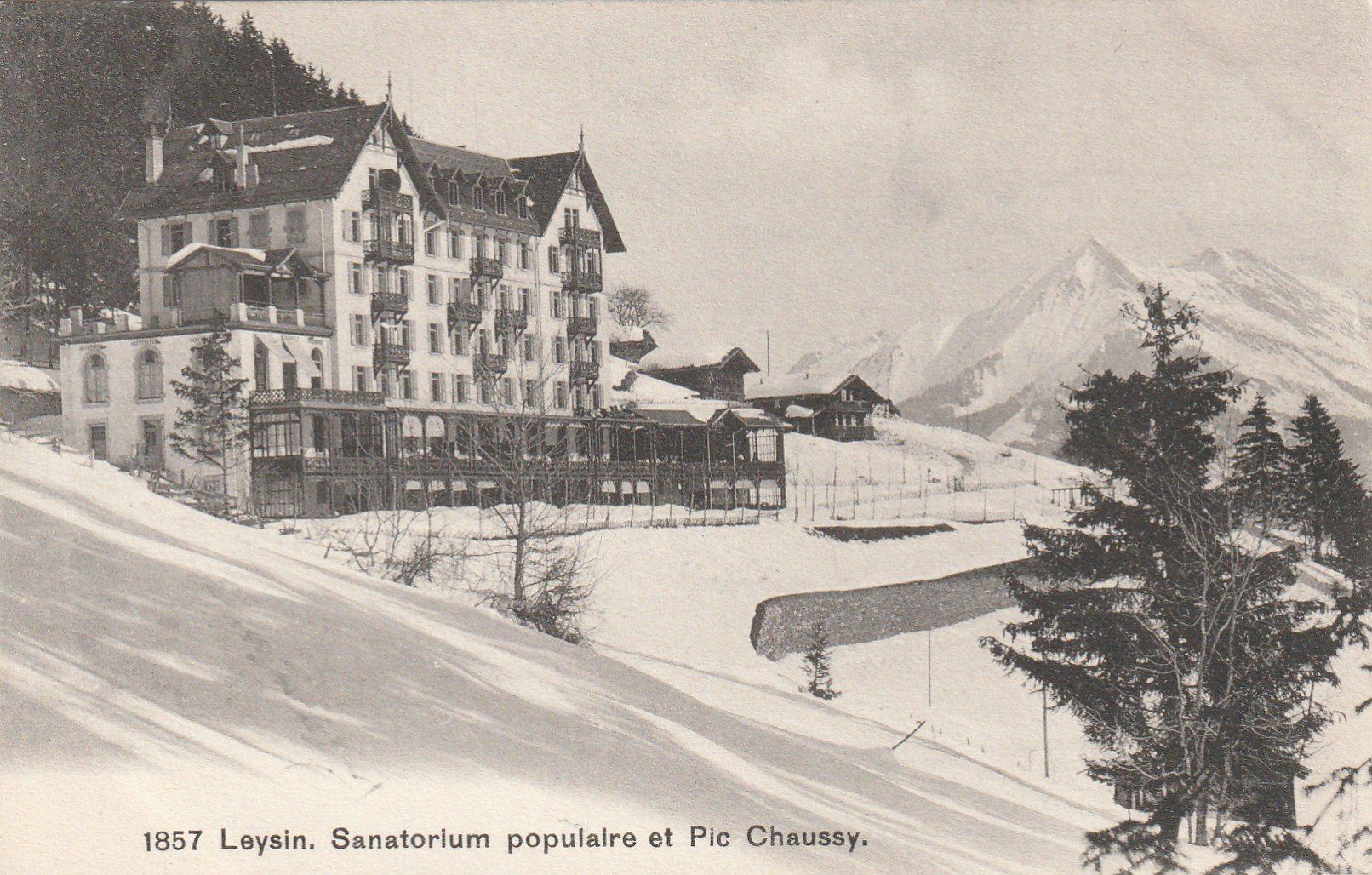 AK Lesyn. Sanatorium populalre et Pic Chaussy. 1916 (Gebraucht) in ...