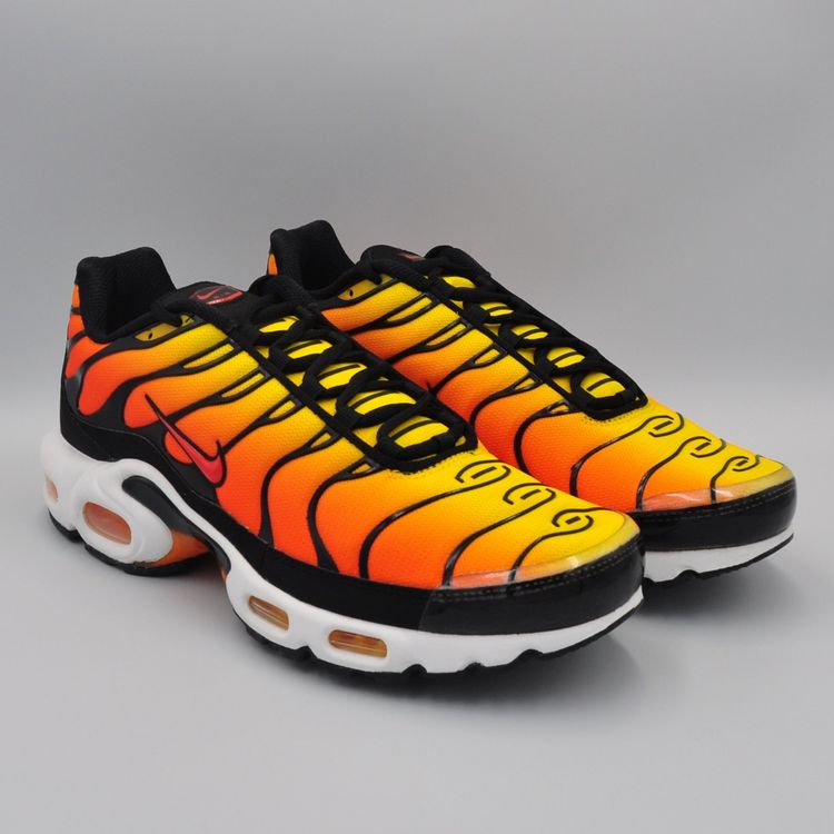 Nike Air Max Plus TN Tiger 44 (Neu und originalverpackt) in Bern für ...