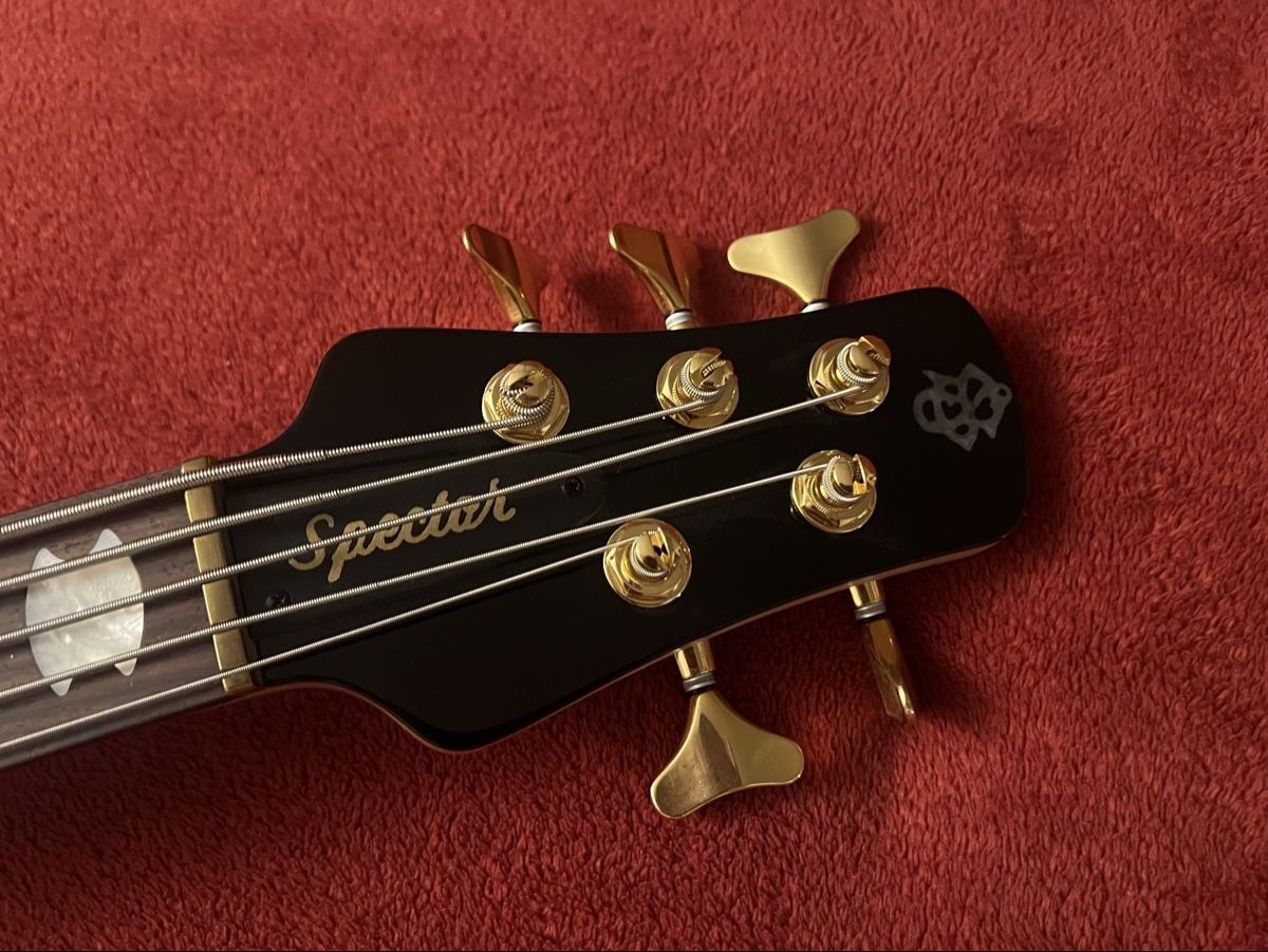 Spector Euro 5 LX Bass Poplar Burl Natural Gloss 5 String (Neu (gemäss ...