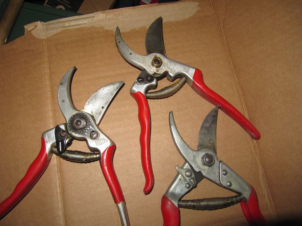 3x Rosenschere / Gartenschere FELCO | Kaufen auf Ricardo