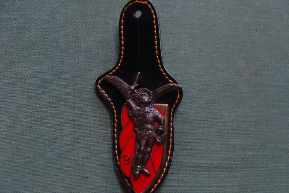 9e Régiment De Chasseurs Parachutistes Kaufen Auf Ricardo