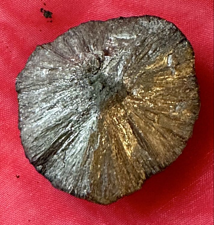 Pyrit-Sonne aus Spanien – Ein glänzendes Sammlerstück (Gebraucht) in Zürich für CHF 10 – nur ...