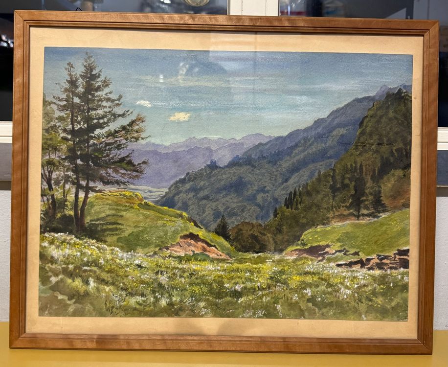 Aquarell Bild | Kaufen auf Ricardo