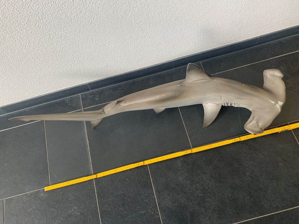 Hammer Hai Fisch Model - Einzelanfertigung (Neu (gemäss Beschreibung ...