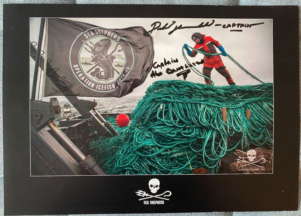 Poster von Sea Shepherd (Gebraucht) in Besazio für CHF 57 – mit ...
