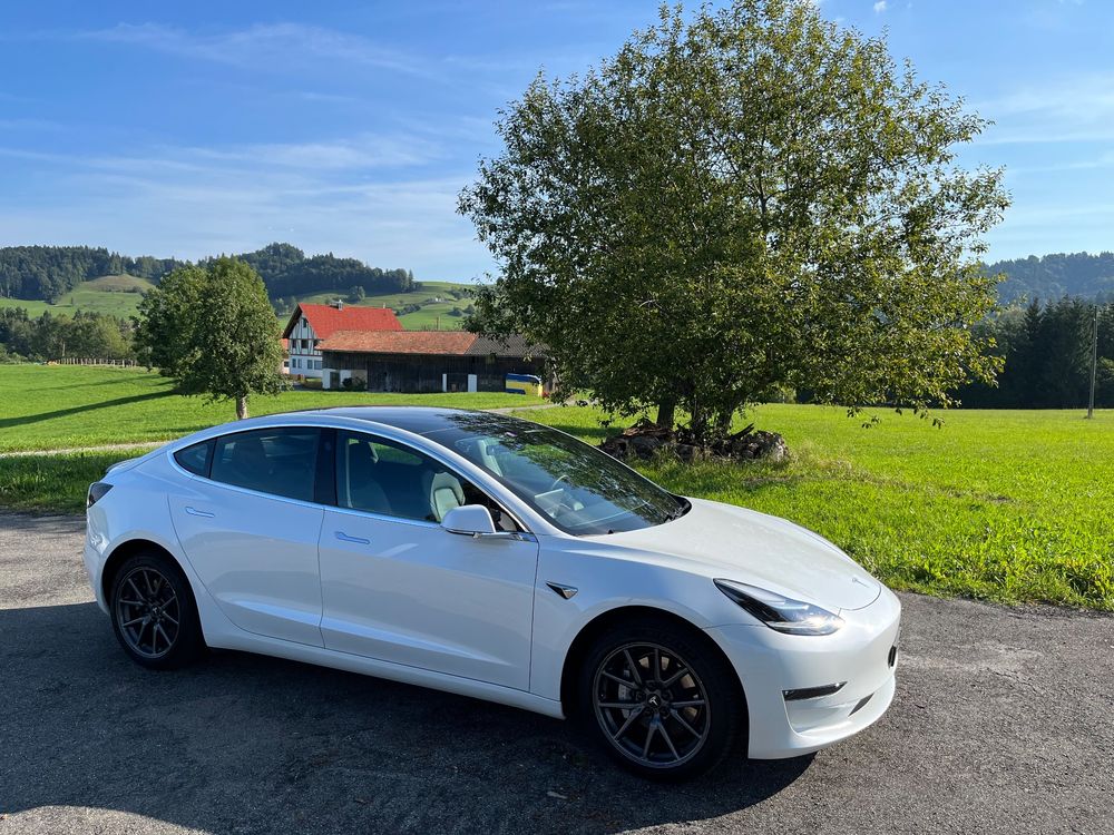 Tesla Auto Kaufen