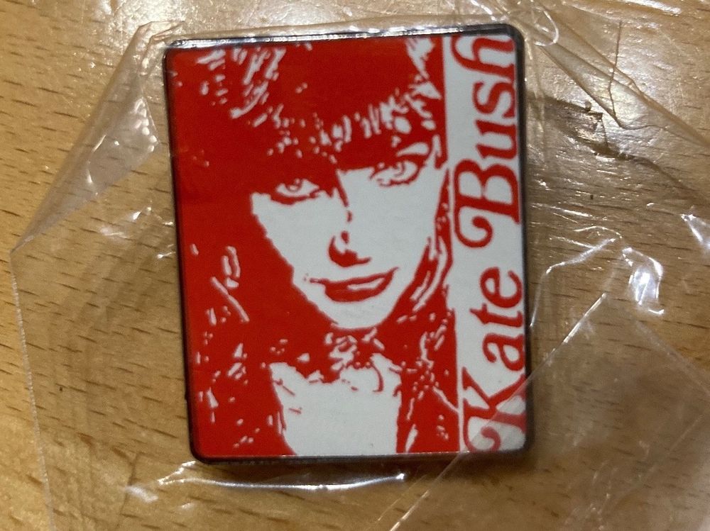 Kate Bush Pin Anstecker Punk Rock Metal Pop (Neu (gemäss Beschreibung ...