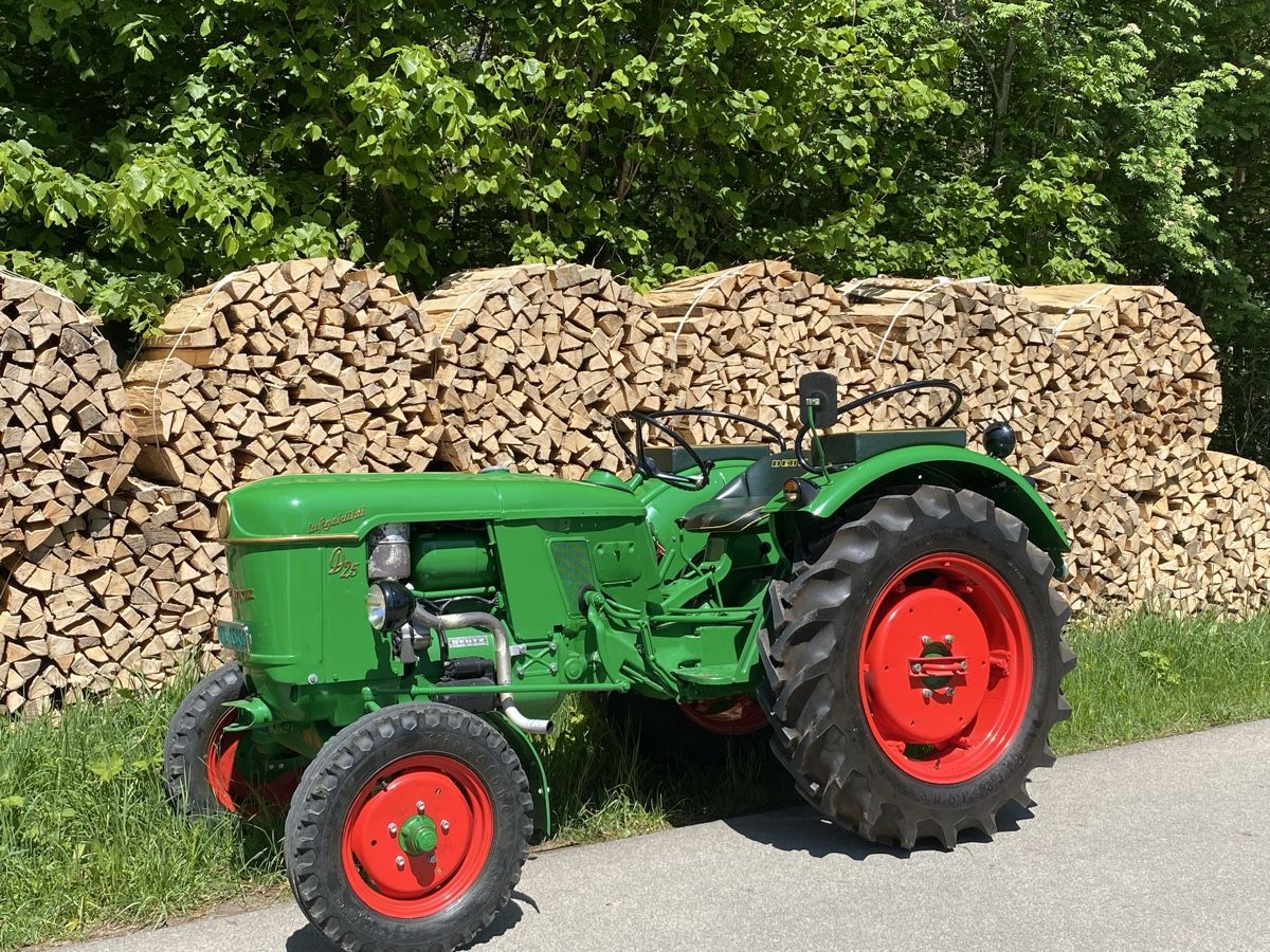 Deutz D 25 Oldtimertraktor (Gebraucht) in Berg TG für CHF 6500 – nur ...