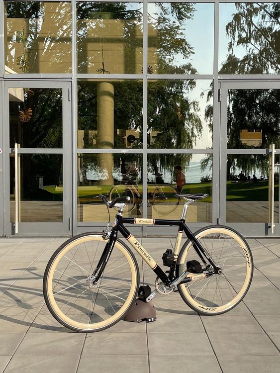 PINARELLO LUNGAVITA Fixie Umbau | Kaufen auf Ricardo