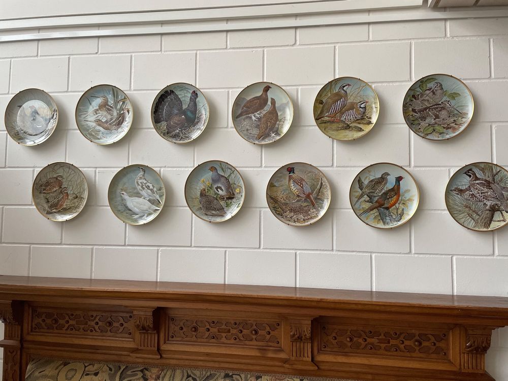Teller Gamebirds of the World by Basil Eden 12x (Gebraucht) in Schlatt TG für CHF 499 – mit ...