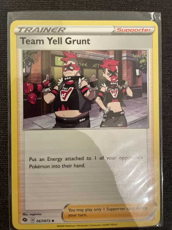 Pokémon Trainer Team Yell Grunt Weg Des Champs Neu Gemäss