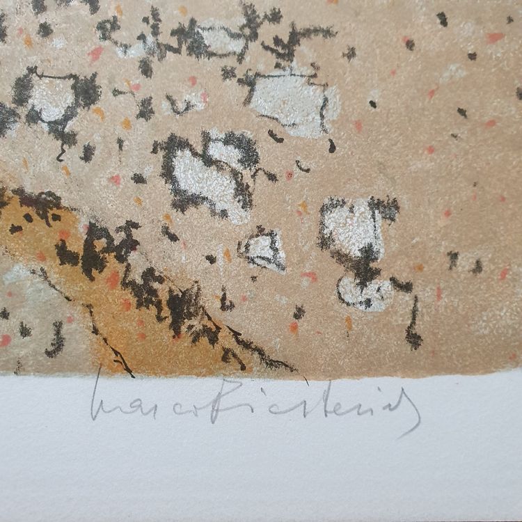 Marco Richterich Lithographie 81/200 (Gebraucht) in Sirnach für CHF 20 – mit Lieferung auf ...