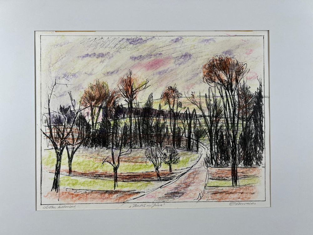 Gottlieb Osterwalder (1908-1988) Landschaft Lithographie H.S (Gebraucht) in Neuhausen am ...