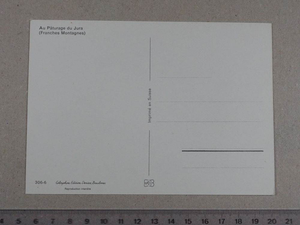Franches Montagnes, au Paturage du Jura, cheval, Pferd (Gebraucht) in ...