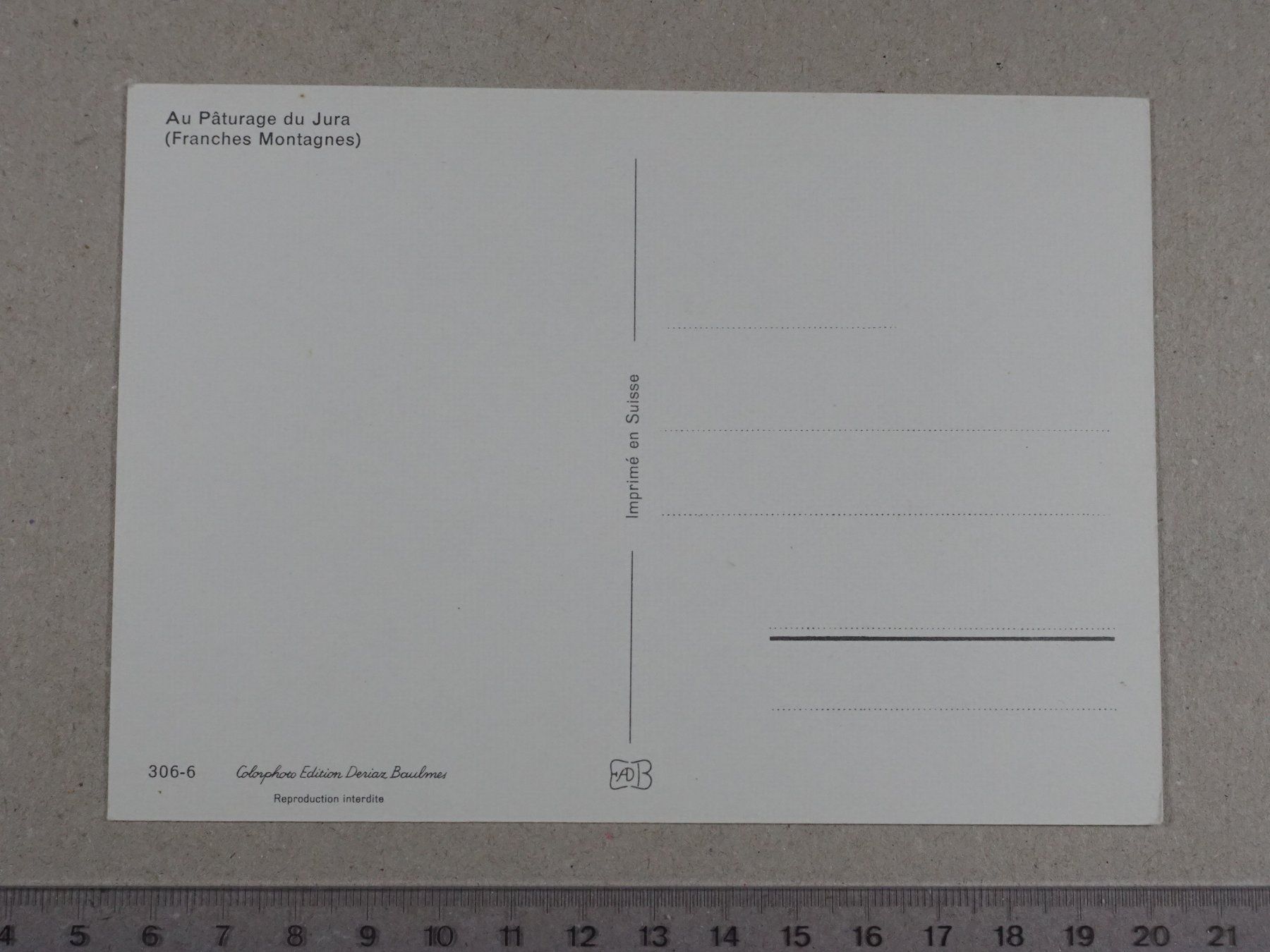Franches Montagnes, au Paturage du Jura, cheval, Pferd (Gebraucht) in ...