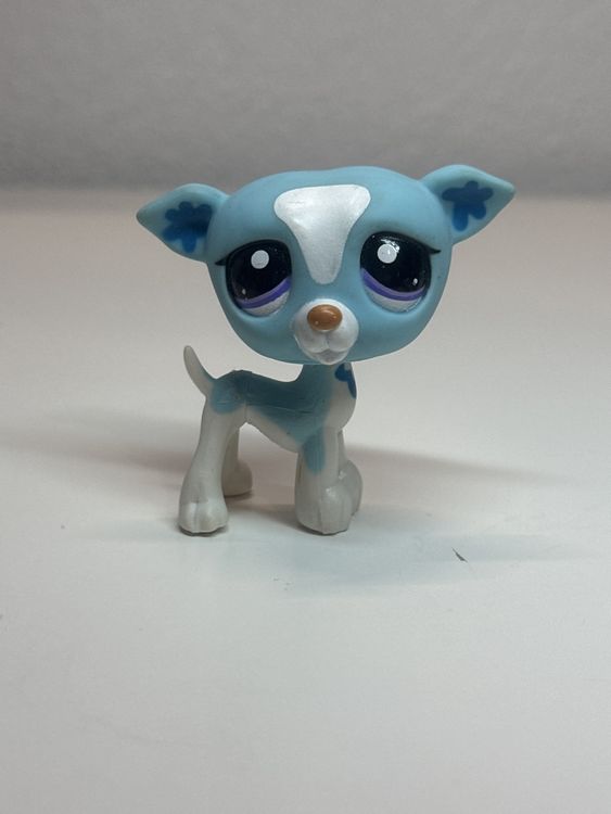 Littlest pet shop lps Hund (Gebraucht) in Luzern für CHF 25 – mit ...