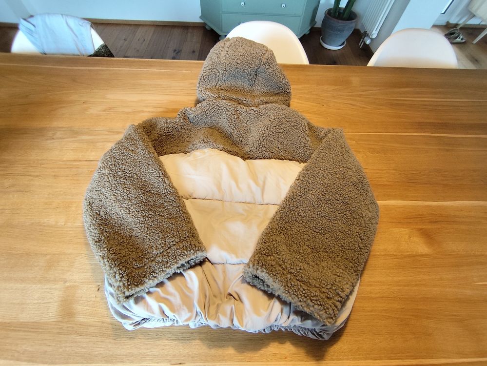 Zara Winterjacke, Teddy-Fleece, Grösse M, Top Zustand! (Gebraucht) in ...