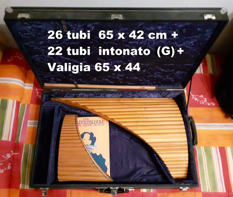 n Panflöte 26 t. BASSO + 22 t.G (SOL)+Valigia+Libro RIBASSAT (Gebraucht) in Locarno für CHF 690 ...