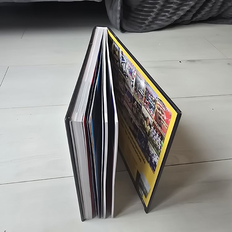 Fussballwappen-Buch: Hardy Grüne - Ein Muss für Fans! (Gebraucht) in ...