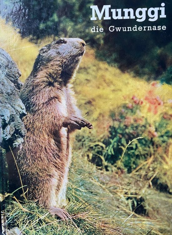Munggi die Gwundernase Bilderbuch 1963 (Gebraucht) in Gerlikon für CHF ...