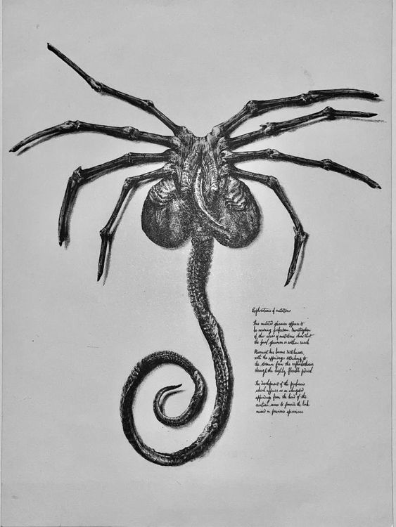 Alien 1979 Petit Poster : FaceHugger (reproduction) (Neu (gemäss ...