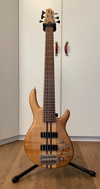Cort A6 Bass | Kaufen auf Ricardo