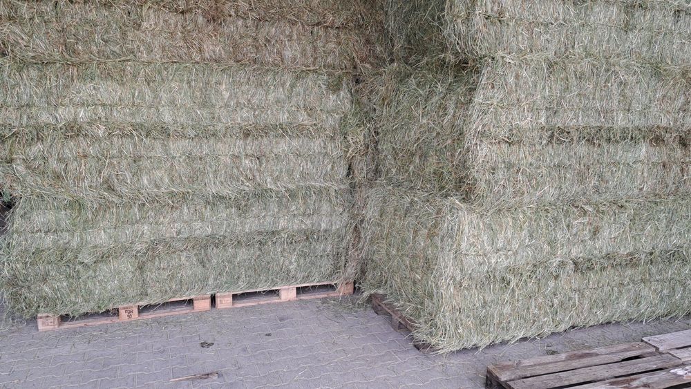 Heu, Futterheu, Pferdeheu, Grossballen, Quader vom Bodensee | Kaufen ...
