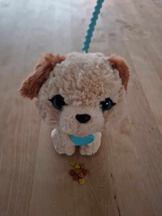 Interaktiver Plüschwelpe "Go Go" von FurReal Friends (Gebraucht) in ...