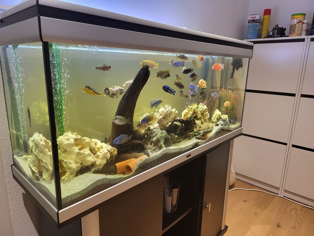 Aquarium 180L mit Möbel (Gebraucht) in Lengnau BE für CHF 199 – nur ...