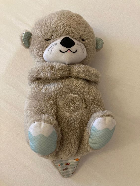 Schlummer-Otter Fisher-Price (Gebraucht) in Ebikon für CHF 15 – mit ...