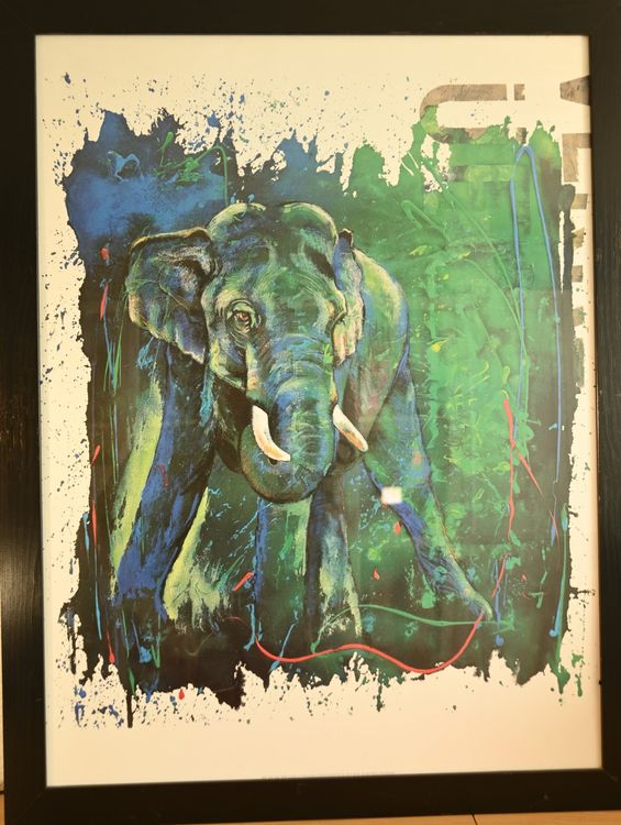 Rolf Knie Bild "Born to Run (Gebraucht) in Winterthur für CHF 49 – nur Abholung auf Ricardo kaufen