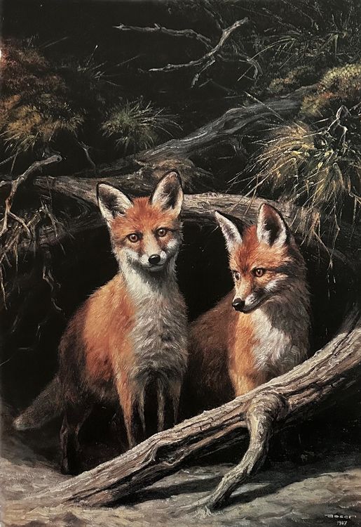 Marcel Moser Litho.mit Füchsen Handsig. (Gebraucht) in Hochdorf für CHF 10 – mit Lieferung auf ...