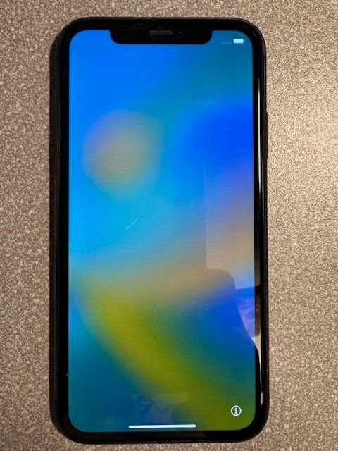 Apple IPhone 11, 256 GB, blau | Kaufen auf Ricardo