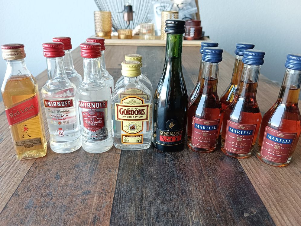 Miniatur Cognac Martell Remy Gordons Walker Whisky Smirnoff (Neu und ...