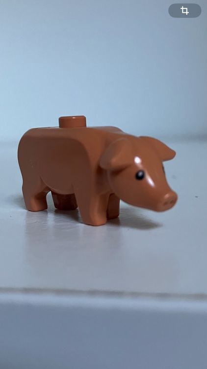 Lego figurine animal pig Minifigur (Gebraucht) in Fully für CHF 3 – mit ...
