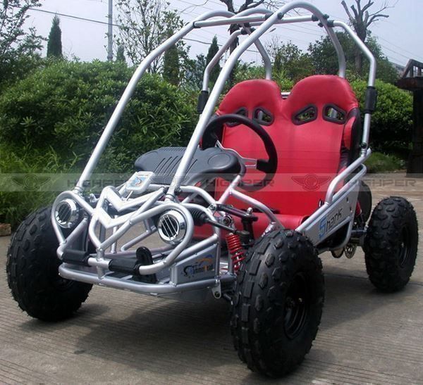 Buggy/Go-Kart SHARK - mit 163ccm - 5.5PS (Neu und originalverpackt) in ...