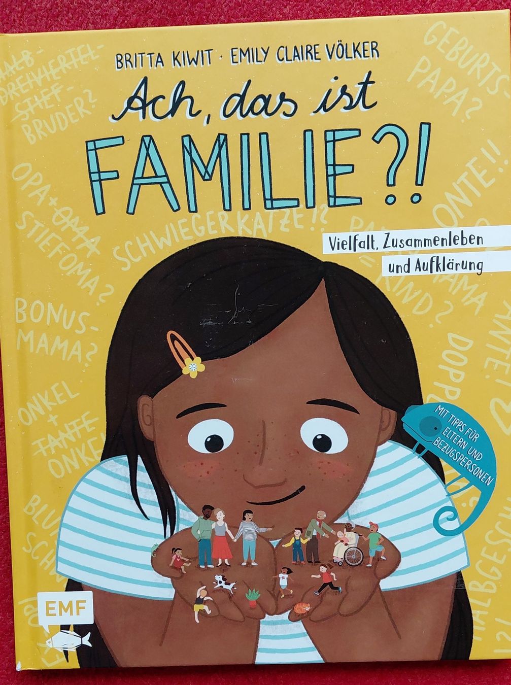 Kinderbuch: Ach, das ist Familie?! - Vielfalt erleben (Gebraucht) in ...
