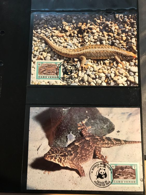 Kap Verde 1986 Satz WWF Gecko Skinke Reptilien Maximumkarten (Neu (gemäss Beschreibung)) in ...