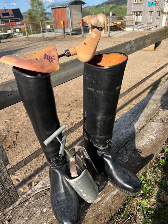 Reitstiefel Veltheim Gr. 36 (Gebraucht) in Hemberg für CHF 20 – mit ...