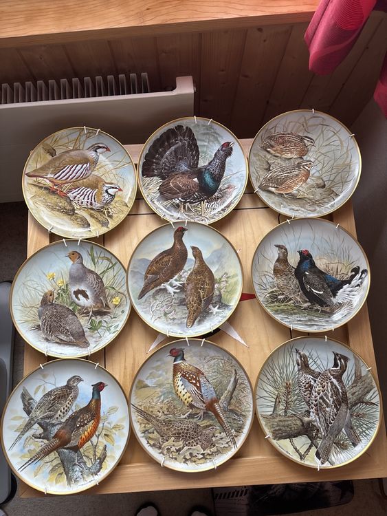11 Sammelteller Vögel, Auerhahn, Fasan, usw. Deko jagen (Neu (gemäss ...
