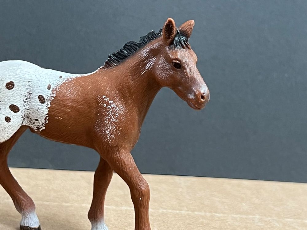Schleich Appaloosa Fohlen Pferd (Gebraucht) in Ennetbaden für CHF 8 – mit Lieferung auf Ricardo ...