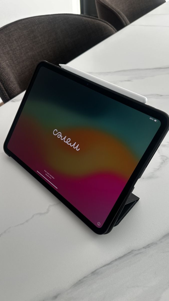 iPad Pro 11“ M4 (256GB) + Apple Pencil Pro - mit Garantie (Neu (gemäss ...