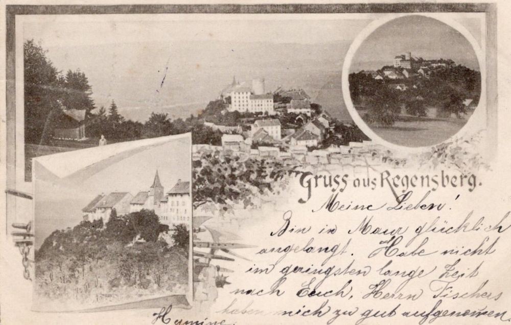 Gruss Regensberg Foto AK 1899 mit Aushilfsstempel Hinteregg (Gebraucht ...