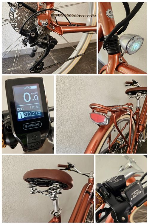 🇨🇭 E-Bike | EGO Movement | Cleopatra 3.5 | nur 115 km 🇨🇭 (Neu (gemäss ...