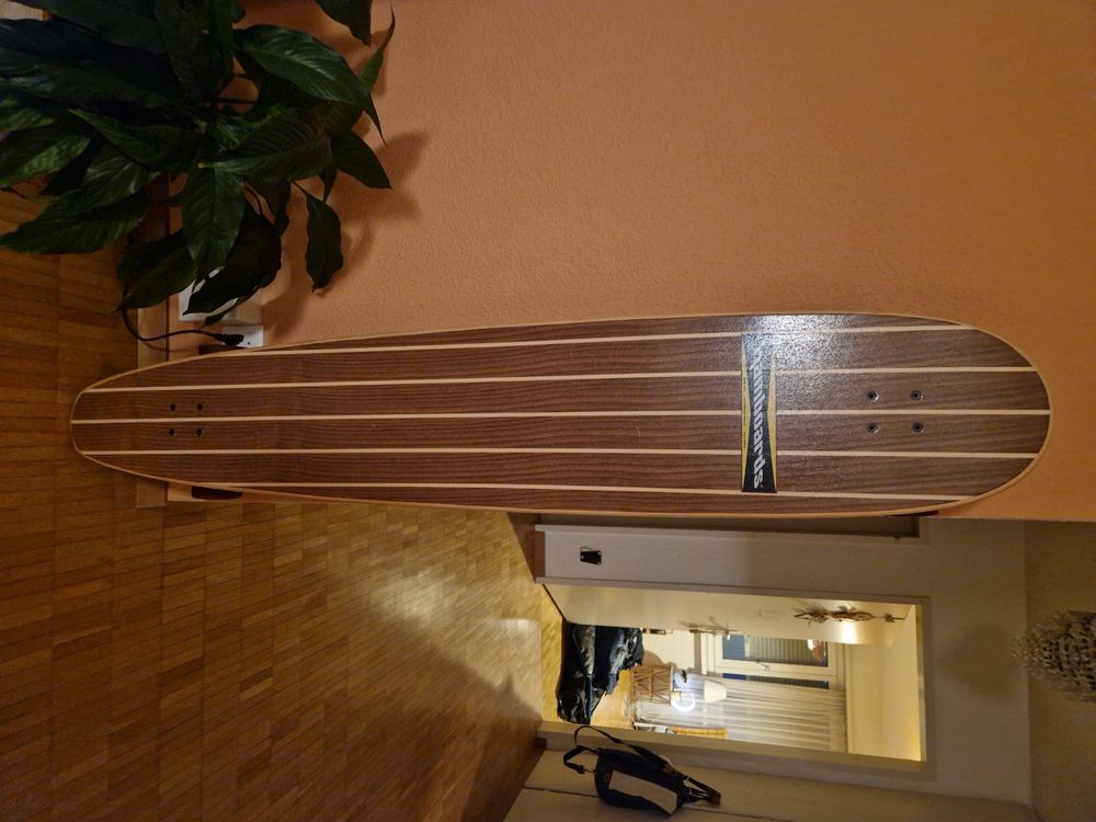 Hamboard Logger 60" Surfskate Longboard (Gebraucht) in Zürich für CHF ...